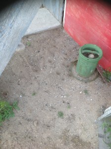 The Doodlebug: Avoid the Pit! – Detective Gluck