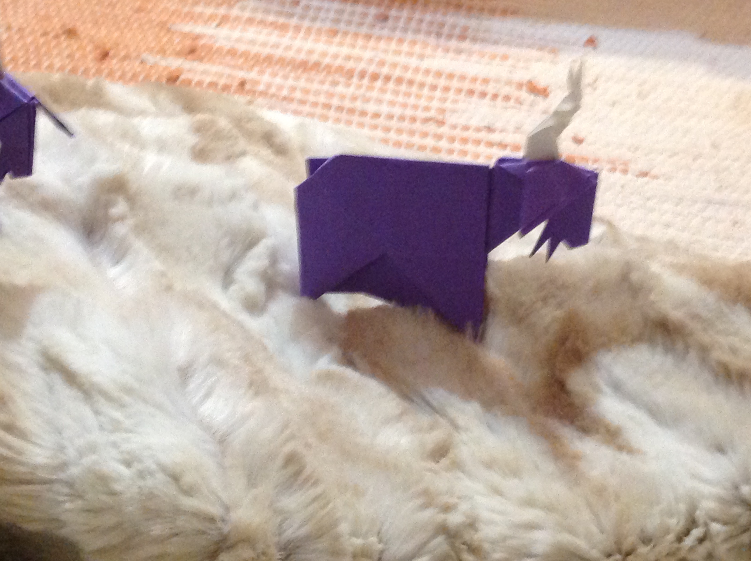 Origami Fainting Goats – Detective Gluck