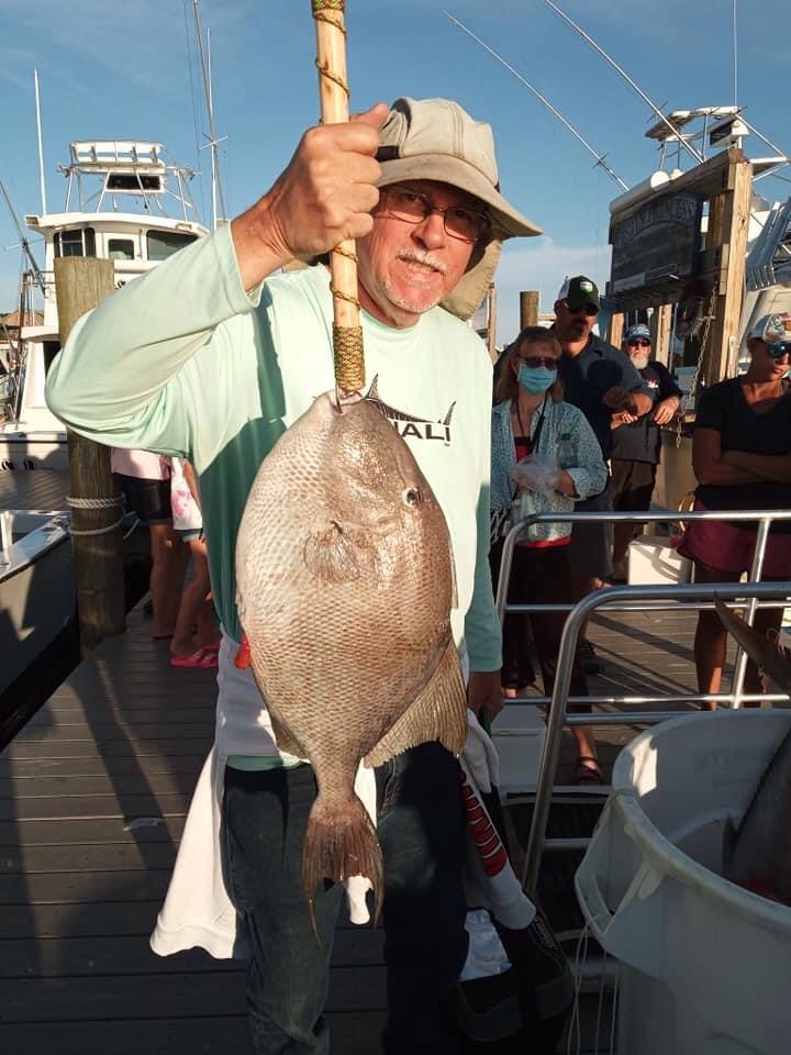 Tricky Triggerfish: Designed for Defense – Detective Gluck