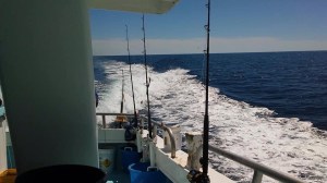 Let’s Catch Some Mingo Snappers! – Detective Gluck